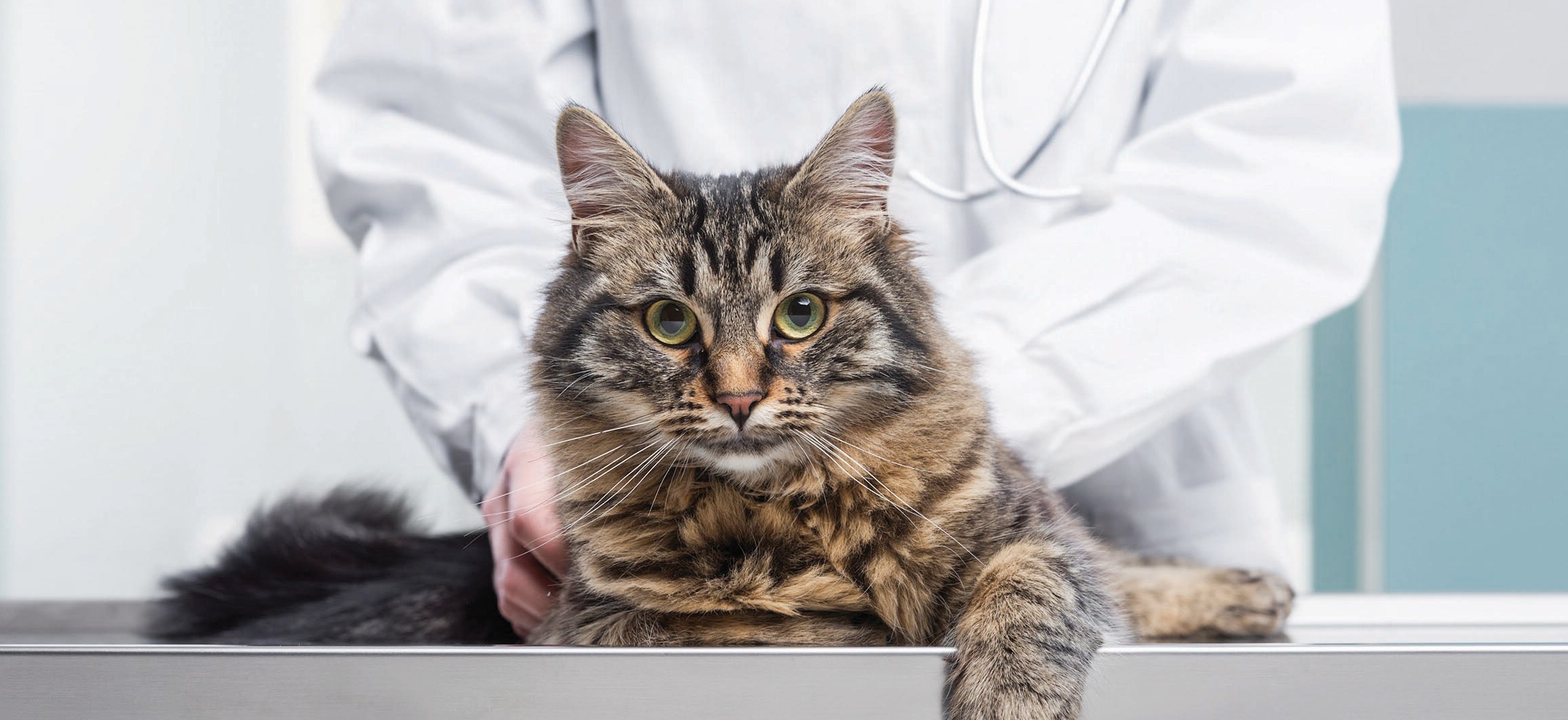 法國皇家連續四年推動「健檢及早、相伴到老」 | SanjiNoir 黑侍樂讀